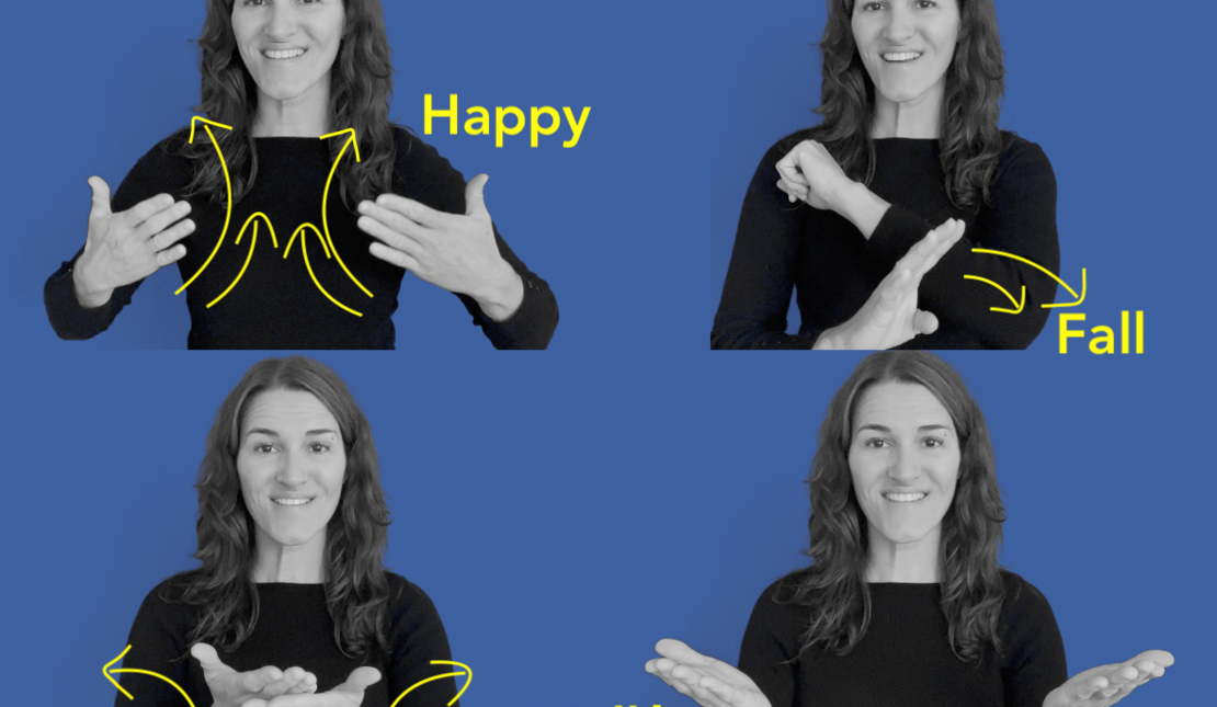 American Sign Language For Beginners Learn Signing Essentials In 30 American Sign Language For Beginners Learn Signing Essentials In 30